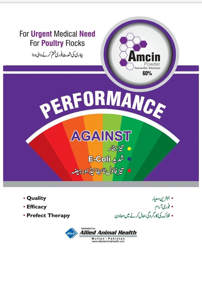 Home [alliedanimalhealth.com.pk]